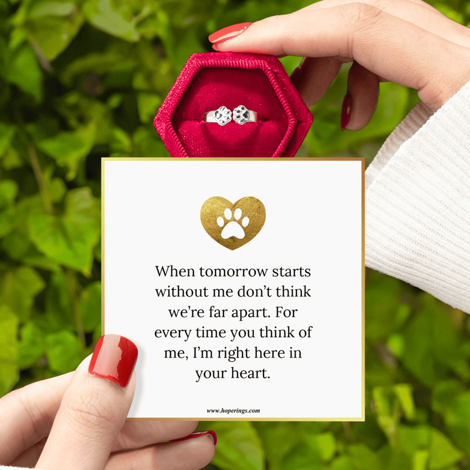 Hug Ring Collection – Hope Rings